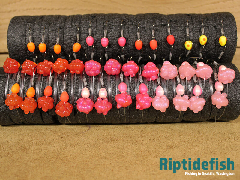 New Steelhead Egg Clusters from Western Fishing Operations