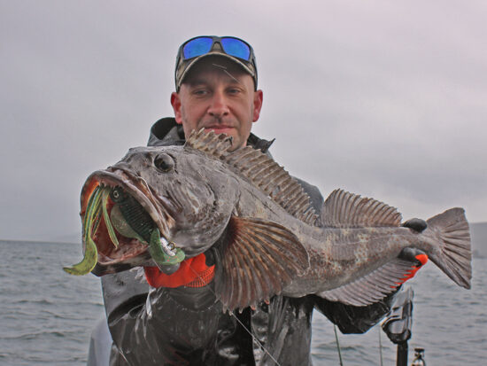Catching Lingcod on opening day in Neah Bay