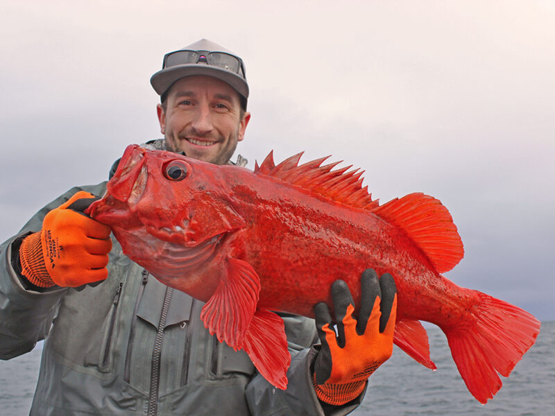 Catching Lingcod on opening day in Neah Bay