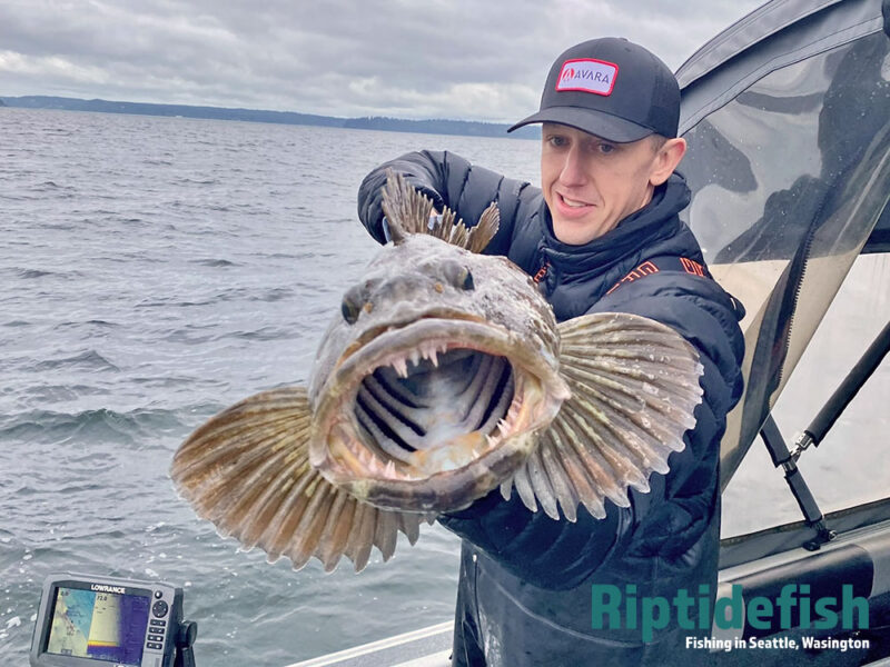 Mid-April Fishing Report – Seattle & Washington State 2023