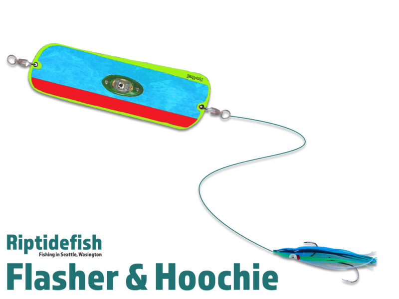 12 Great Fishing Lures for Chinook Salmon Fishing in Saltwater