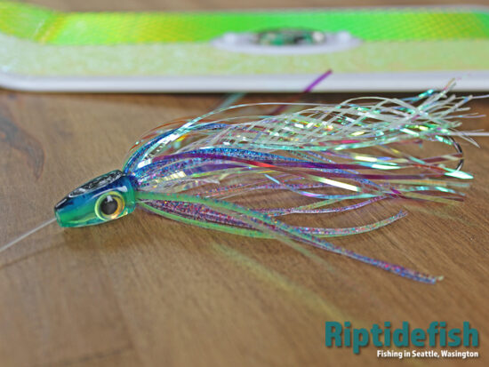 12 Great Fishing Lures for Chinook Salmon Fishing in Saltwater