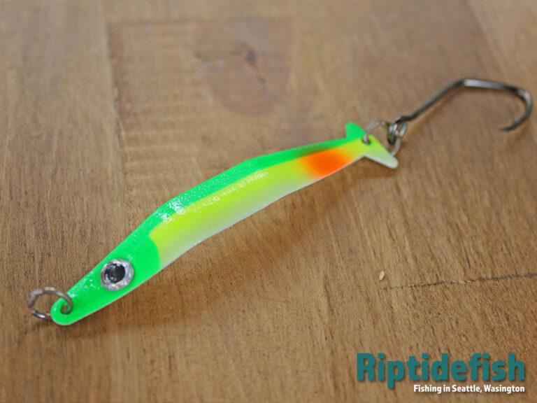 12 Great Fishing Lures for Chinook Salmon Fishing in Saltwater