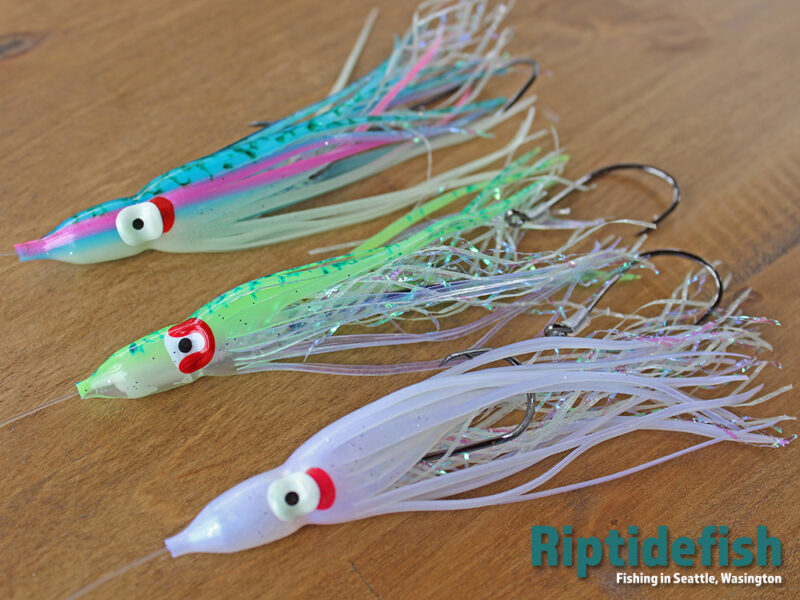 12 Great Fishing Lures for Chinook Salmon Fishing in Saltwater