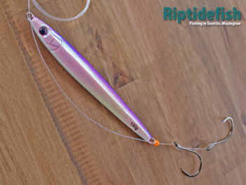 12 Great Fishing Lures for Chinook Salmon Fishing in Saltwater