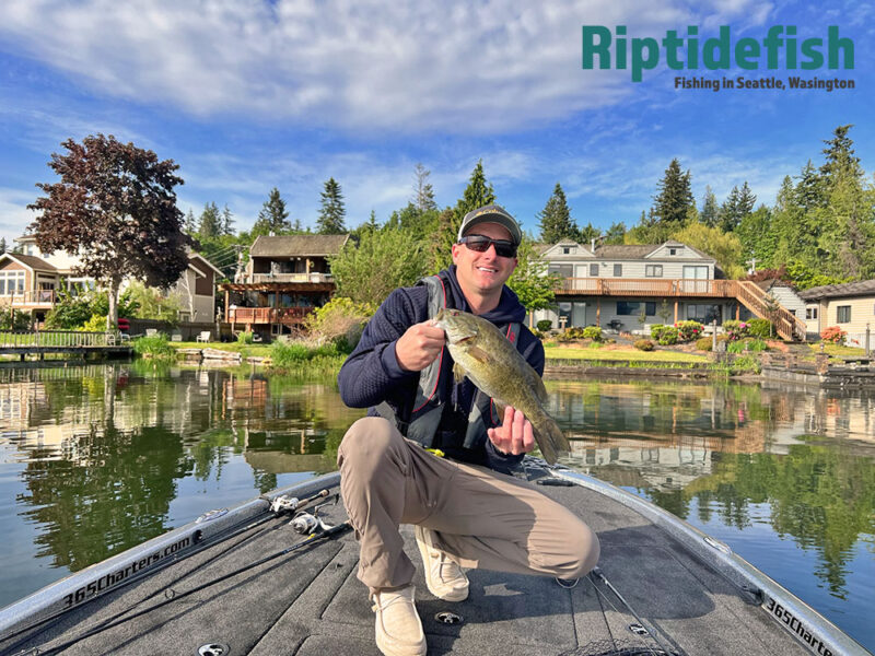 Fishing Report for Seattle & Washington State – May 2023