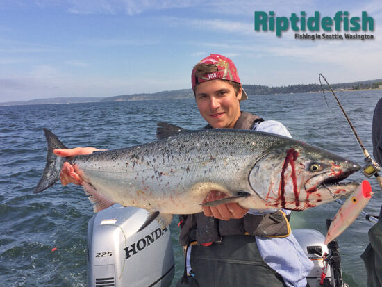 12 Great Fishing Lures for Chinook Salmon Fishing in Saltwater