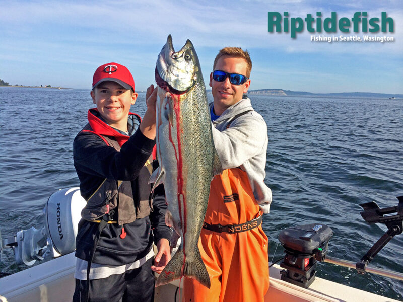 12 Great Lures for Chinook Salmon Fishing in Puget Sound