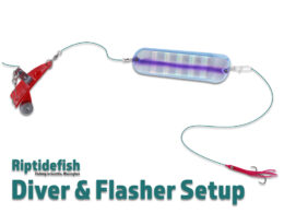 My Favorite Saltwater Coho Salmon Lures & Rigs