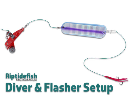 My Favorite Saltwater Coho Salmon Lures & Rigs