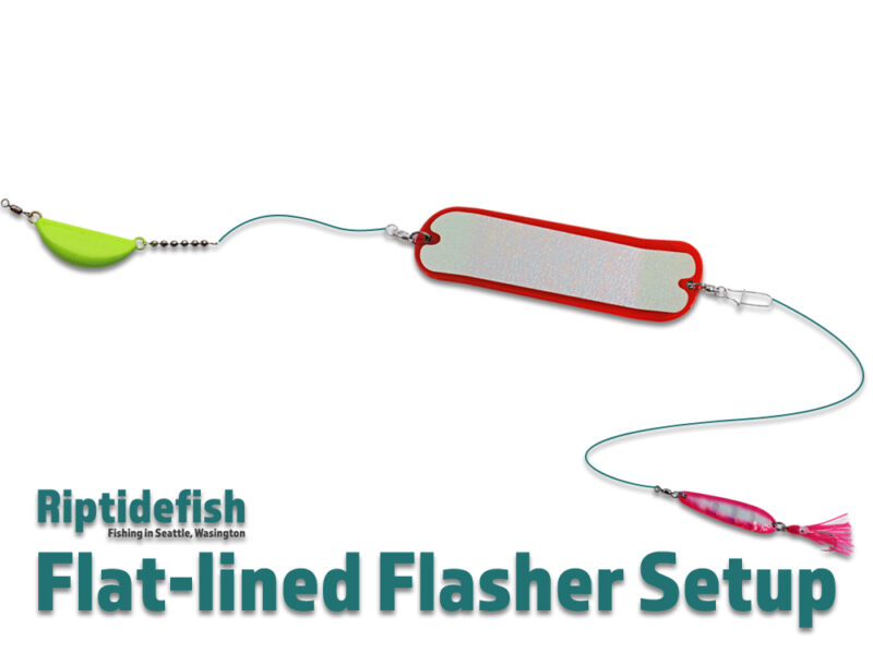 My Favorite Saltwater Coho Salmon Lures & Rigs