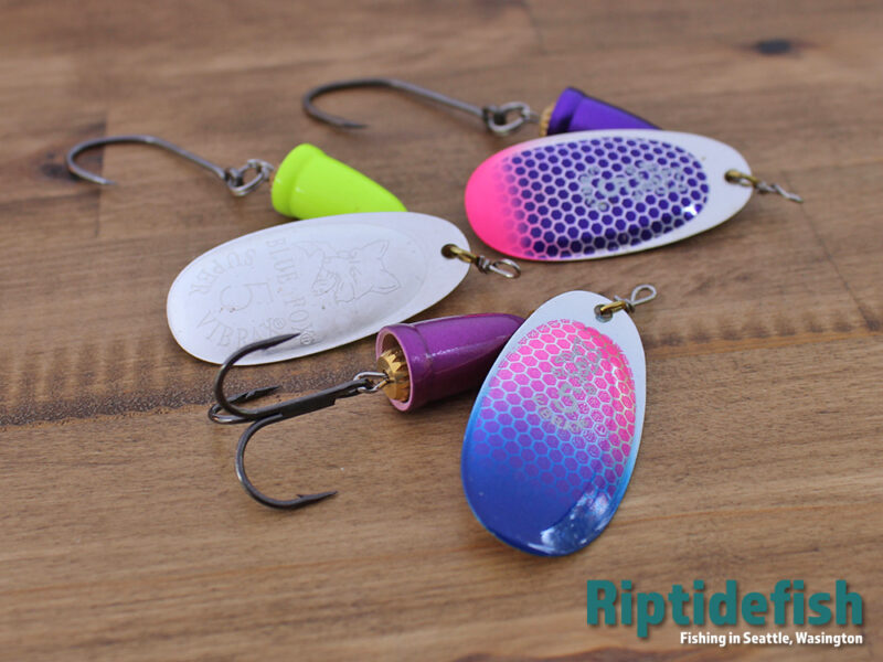 10 Amazing Lures for Coho Salmon in Rivers