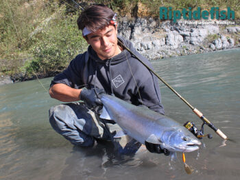 10 Amazing Lures for Coho Salmon in Rivers