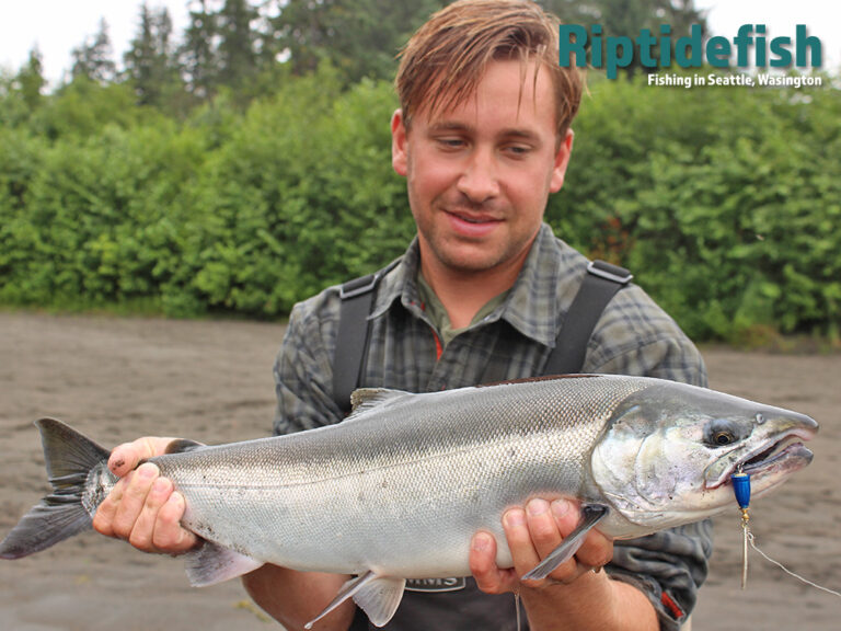 10 Amazing Lures for Coho Salmon in Rivers