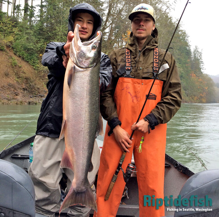 10 Amazing Lures for Coho Salmon in Rivers