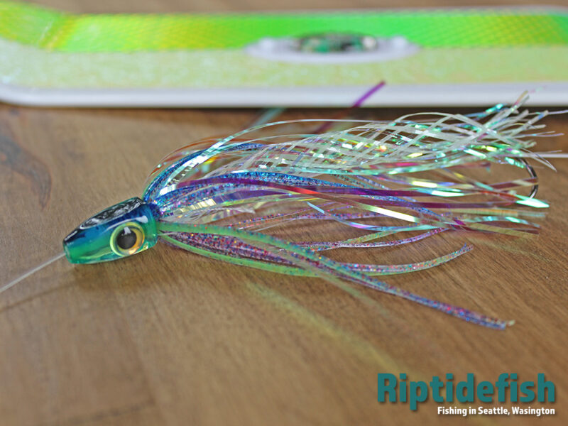 My Favorite Saltwater Coho Salmon Lures & Rigs