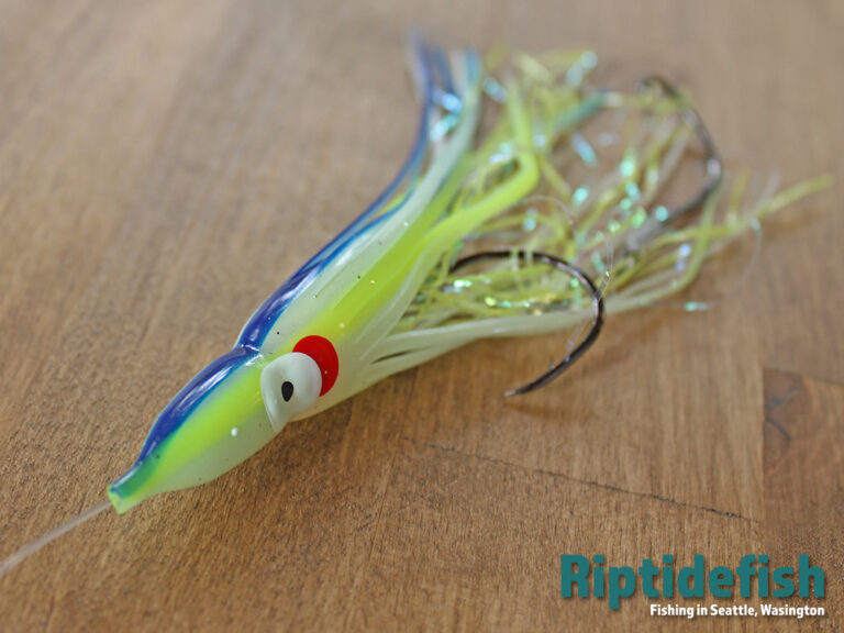 My Favorite Saltwater Coho Salmon Lures & Rigs