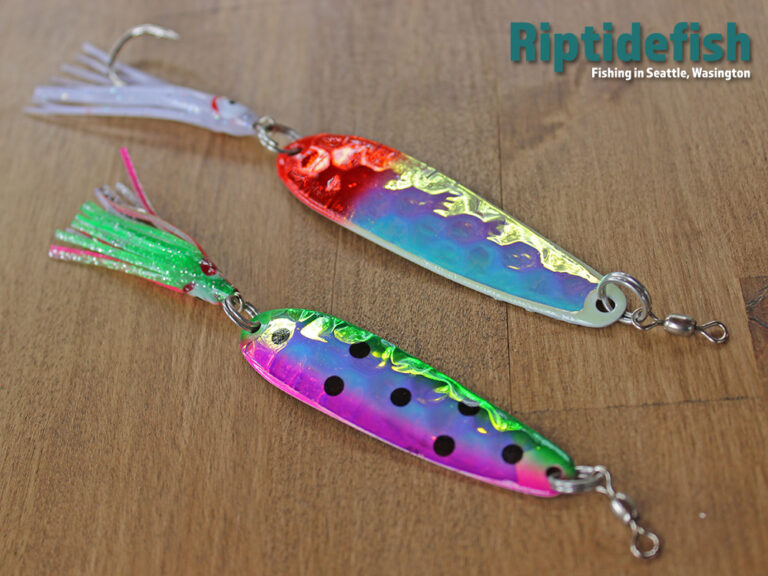 My Favorite Saltwater Coho Salmon Lures & Rigs