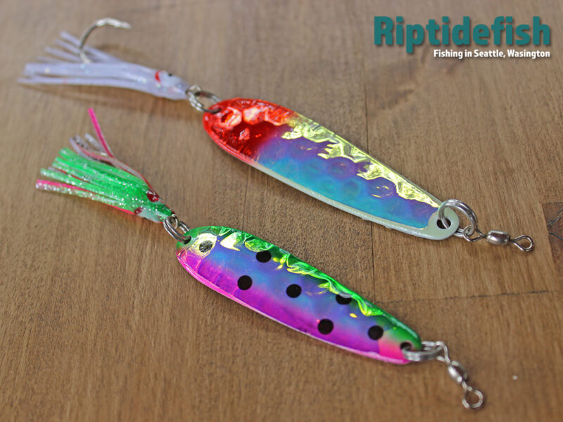 My Favorite Saltwater Coho Salmon Lures & Rigs