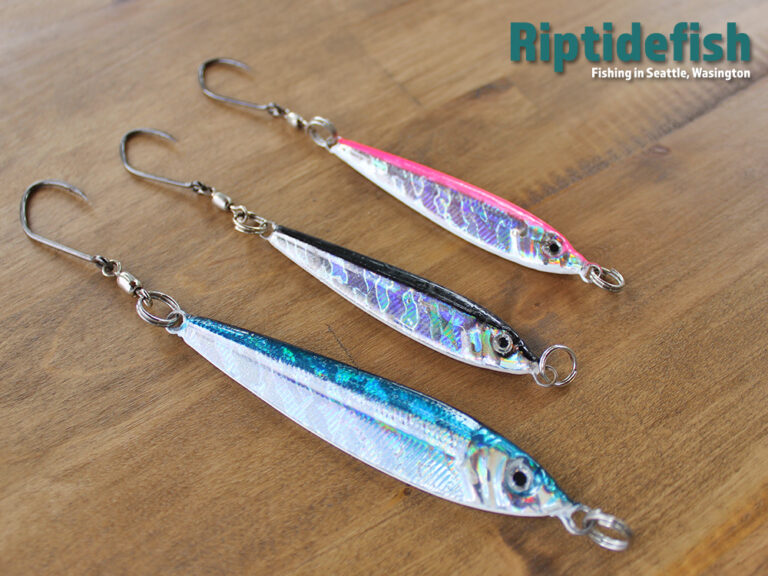 My Favorite Saltwater Coho Salmon Lures & Rigs