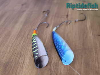 My Favorite Saltwater Coho Salmon Lures & Rigs