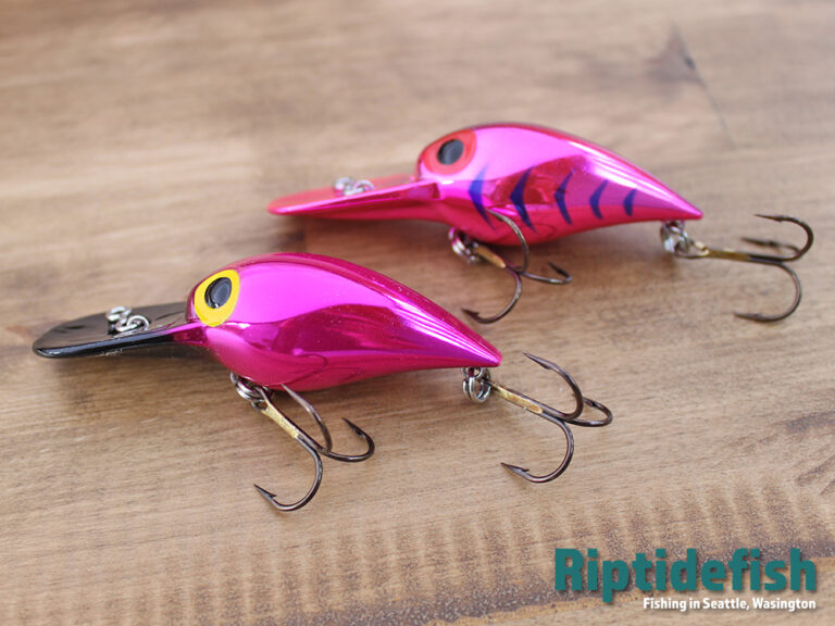 The Best 15 Lures for Winter Steelhead Fishing