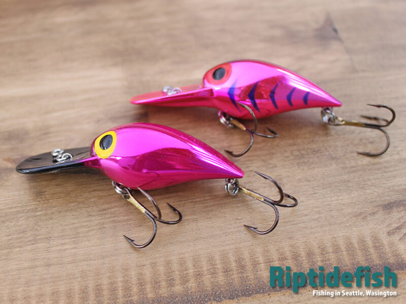 The Best 15 Lures for Winter Steelhead Fishing