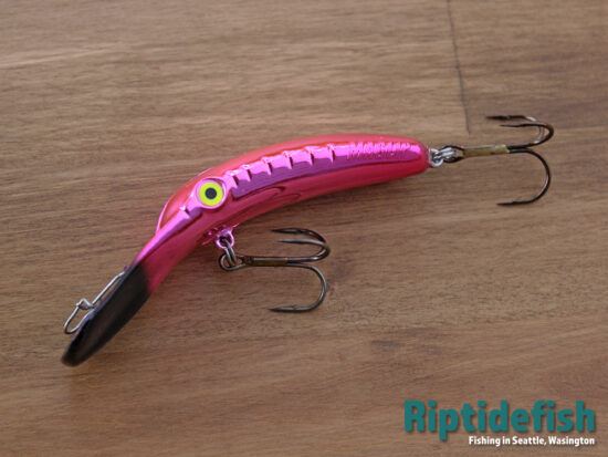 The Best 15 Lures for Winter Steelhead Fishing