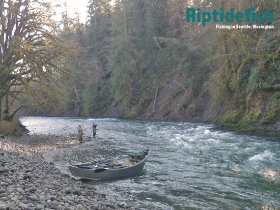 The Best 15 Lures for Winter Steelhead Fishing