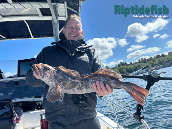 How was Lingcod fishing on opening day of Puget Sound? May 1 Report